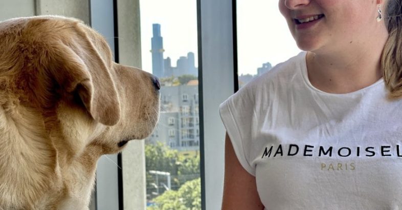 The First Step — Introduction - BindiMaps